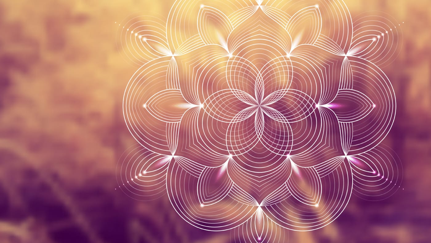 Entheogens & Psychedelics: Healing Hearts and Minds