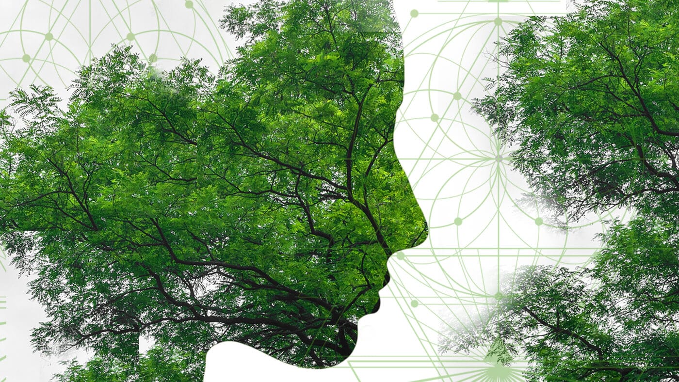 Wisdom of the Plants: Ayahuasca & The Shamanic Resurgence