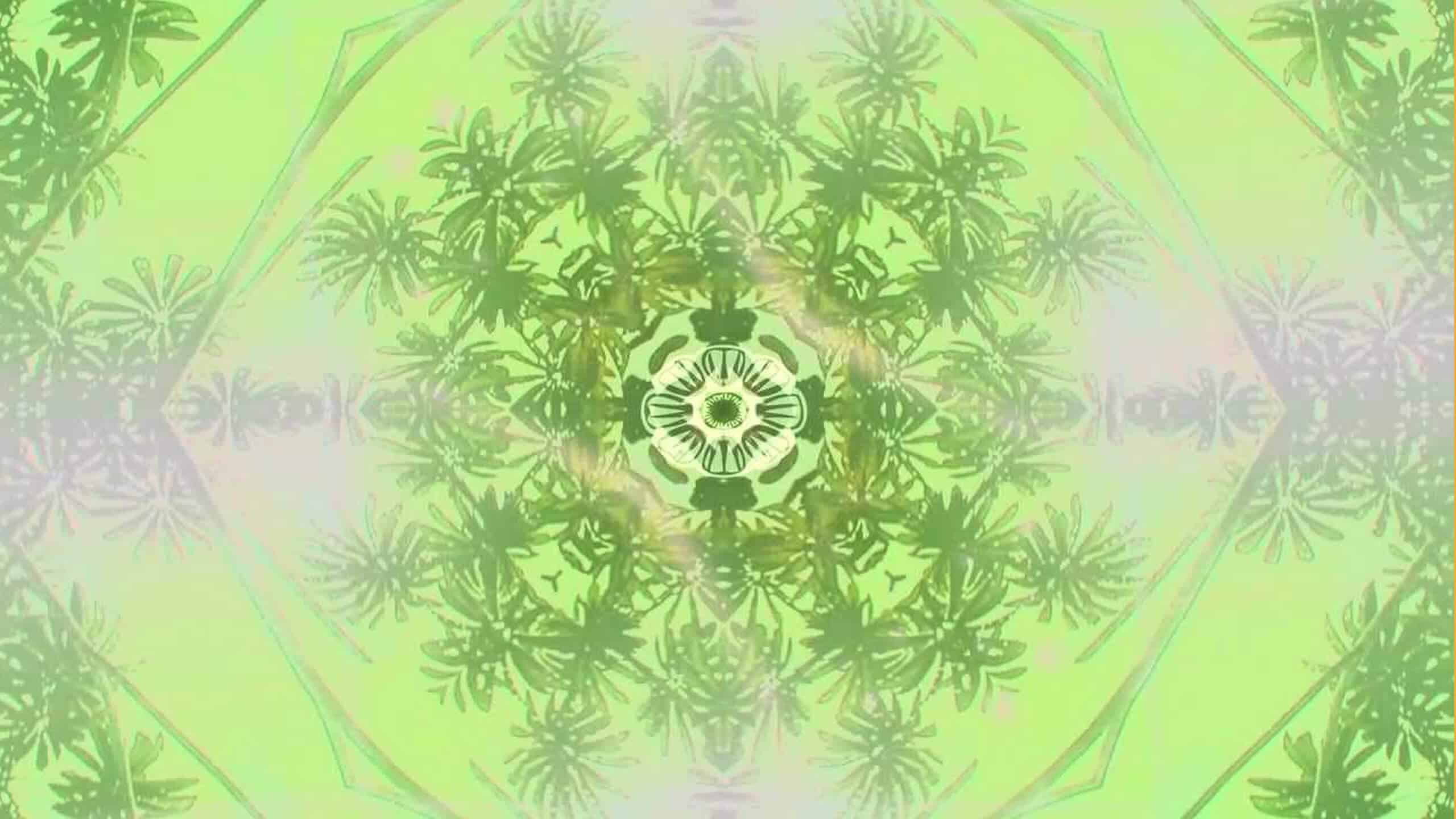 Awakenings video collection - Rak Razam