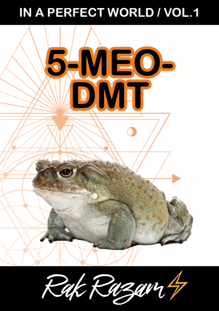 In a Perfect World – Podcast Podcast - Rak Razam