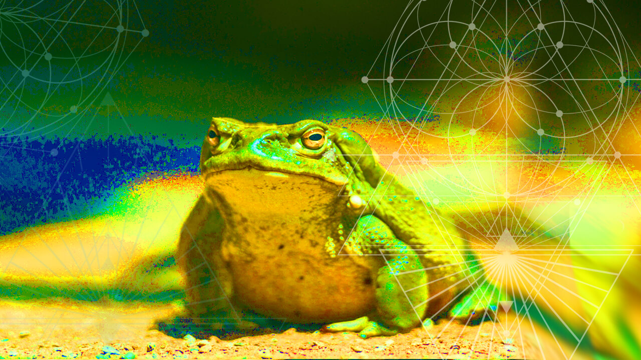The Psychedelic Toad: Spirituality & Psychedelics - Rak Razam