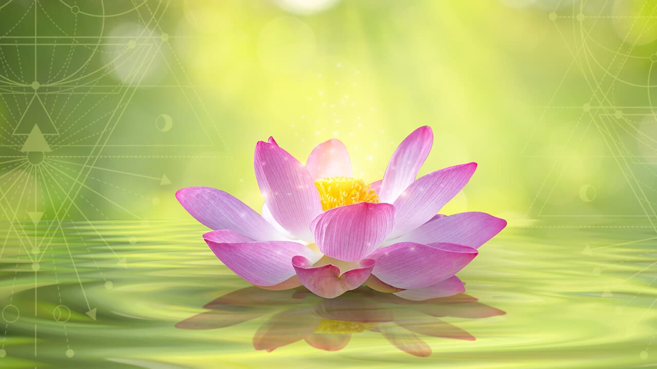 The Flowering Soul - Rak Razam