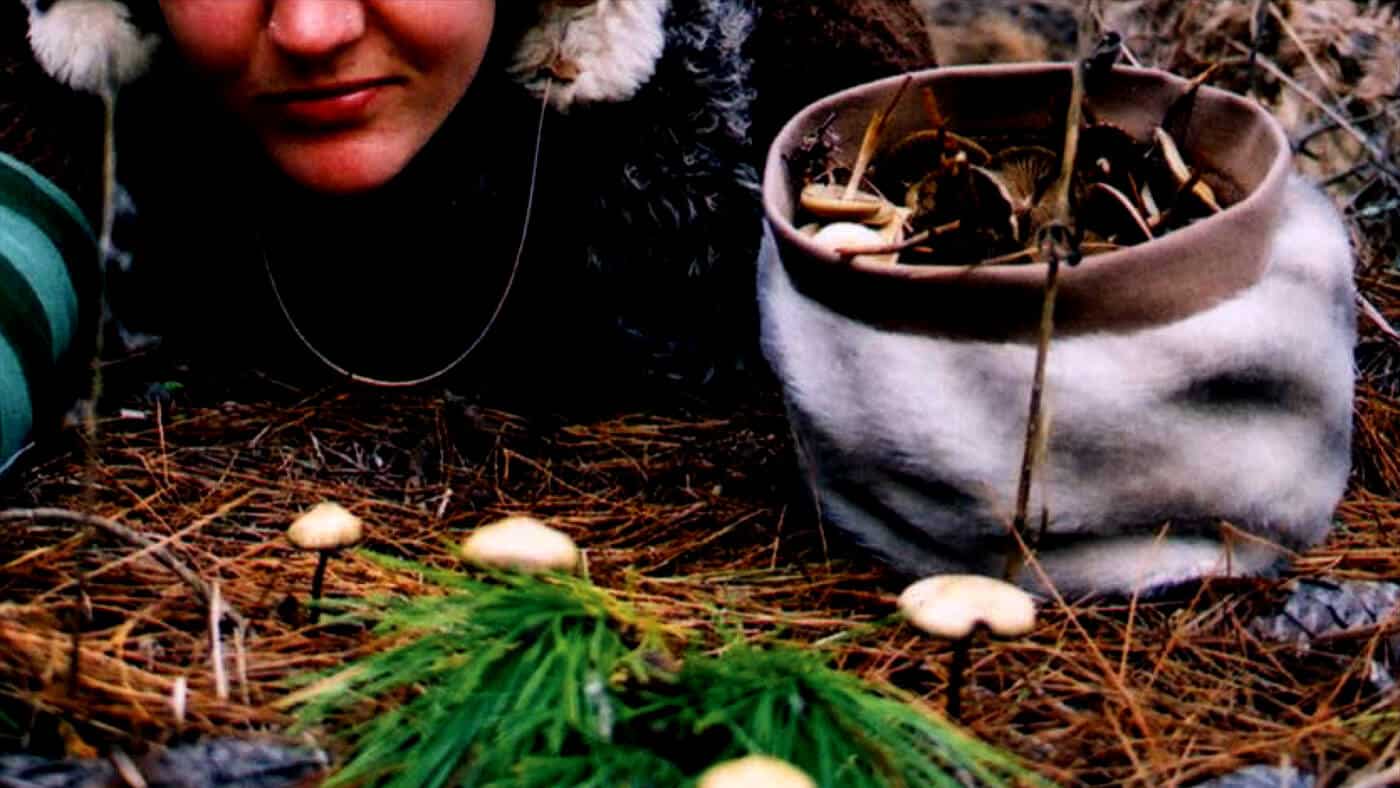 Still Seeking: 50 Years of the ‘Magic’ Mushroom - Rak Razam