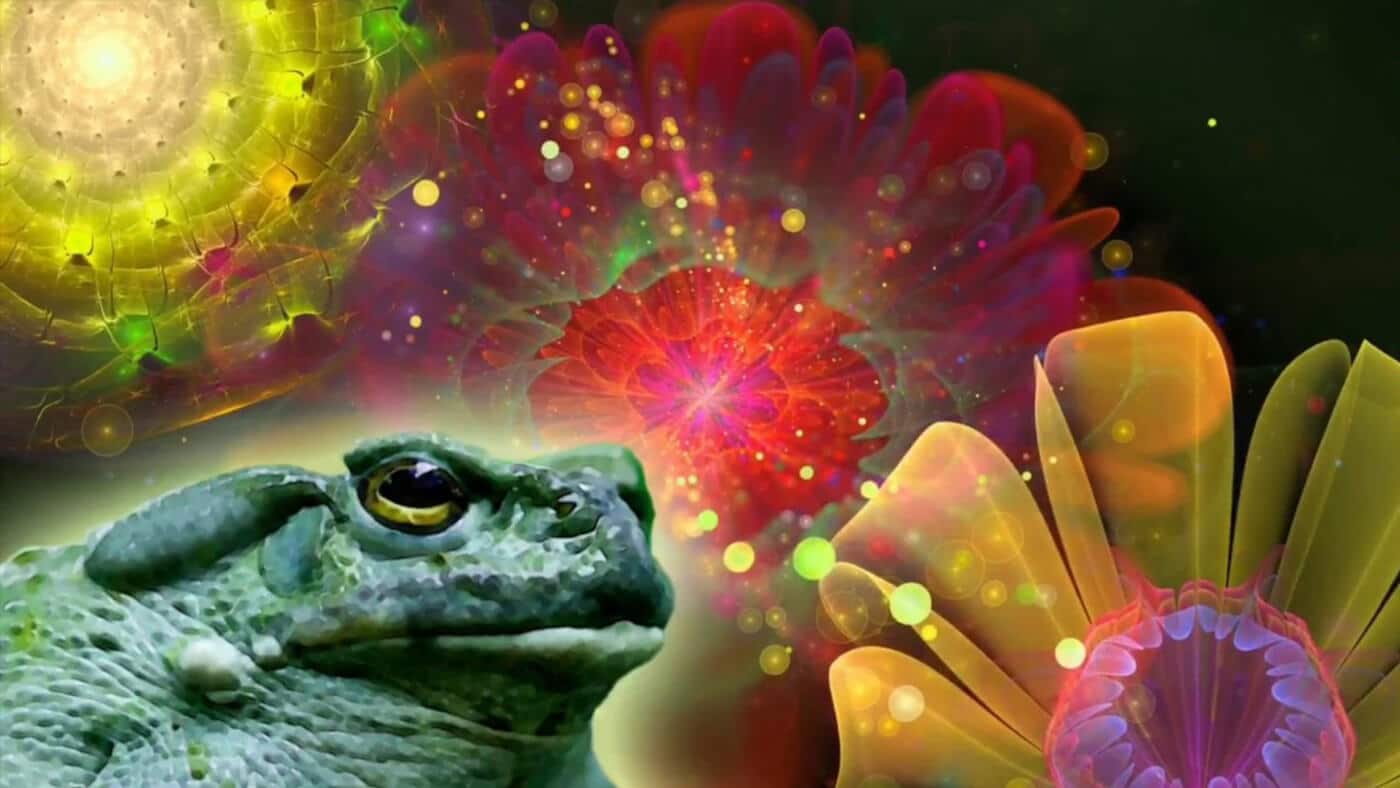 Mapping the Source - Rak Razam