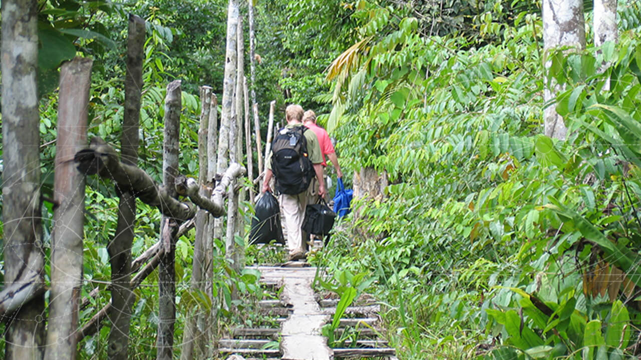 The Shaman’s Path - Rak Razam