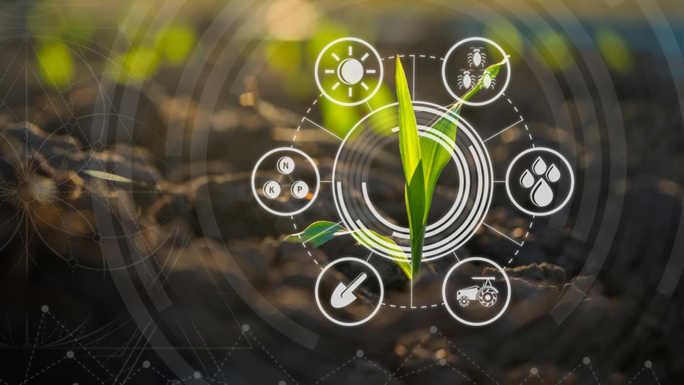 Technologies of the Sacred: Virtual/Vegetal/Vedic - Rak Razam