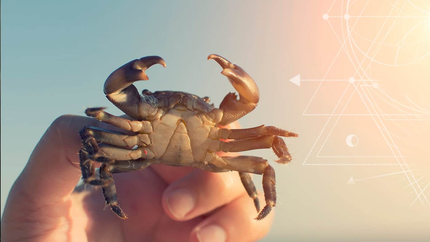 Dropping the Ego Armor: Healing Species Trauma - Rak Razam