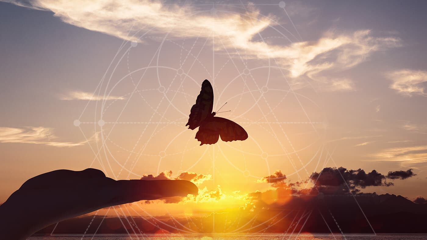 Expanding Minds: Ayahuasca & Awakening - Rak Razam